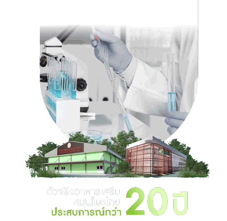 สินค้าและบริการ – di-well.com